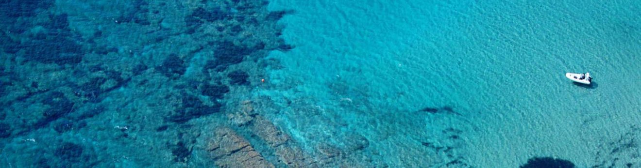 ΗΛΕΚΤΡΟΝΙΚΗ ΕΦΑΡΜΟΓΗ (ΠΛΑΤΦΟΡΜΑ) ΥΠΟΒΟΛΗΣ ΑΙΤΗΣΕΩΝ ΠΑΡΑΧΩΡΗΣΗΣ ΑΠΛΗΣ ...